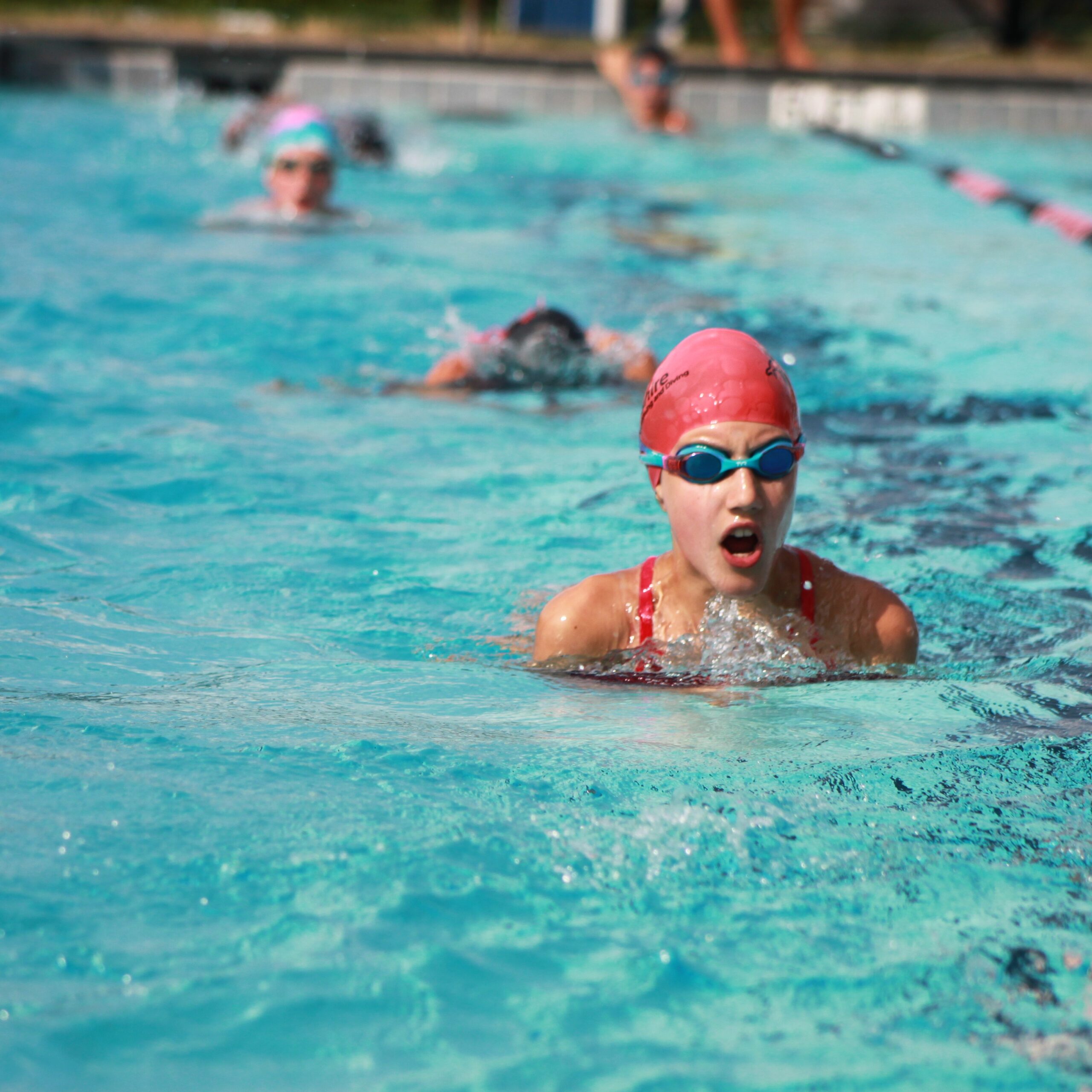 Wilshire Dolphins Swimming & Diving – Wilshire Pool