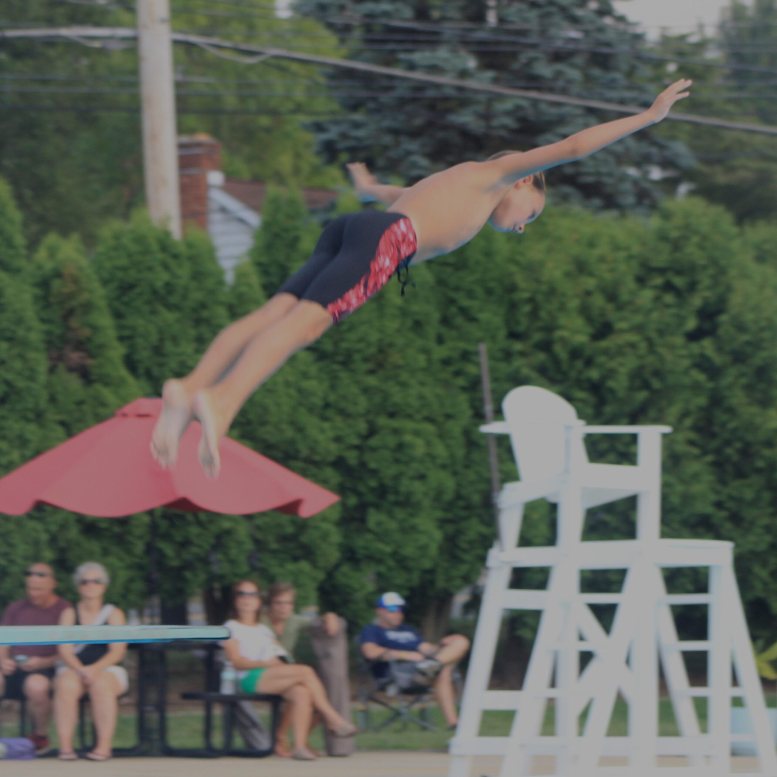 Wilshire Dolphins Swimming & Diving – Wilshire Pool
